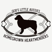 Meet Baxter | GOD'S LITTLE AUSSIES